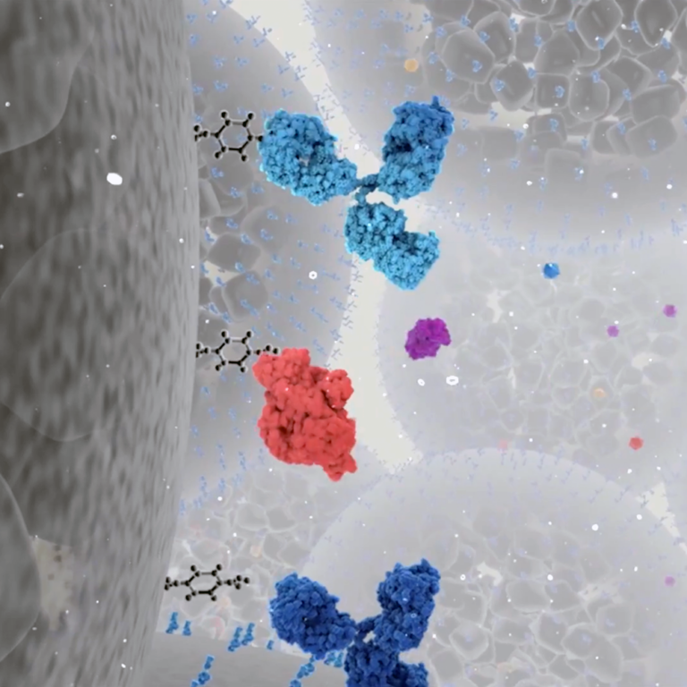 About Us | Evolve Biologics